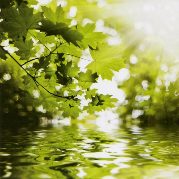 Hand Crafted | Office | 9 Beautiful Nature Print Cards For Framing ...